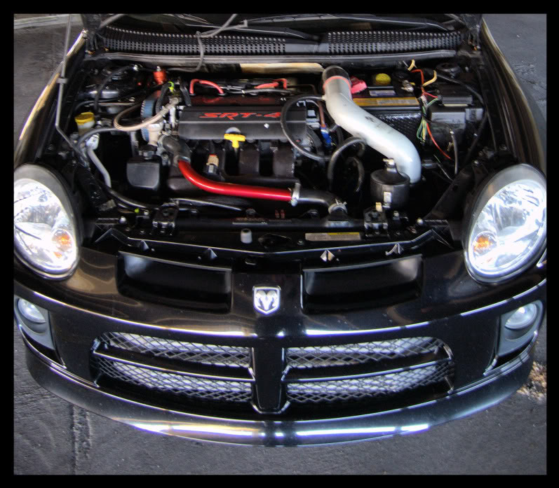 ANGEL TUNING EXTREMO: DODGE NEON SRT4